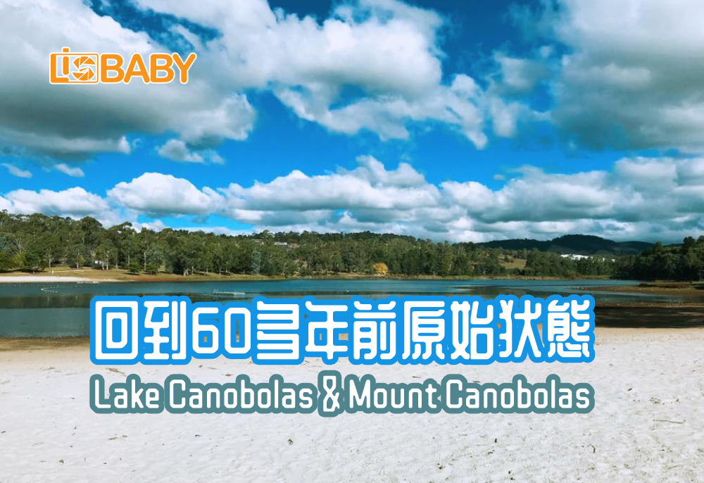 回到60多年前原始狀態 Lake Canobolas & Mount Canobolas - LisBaby